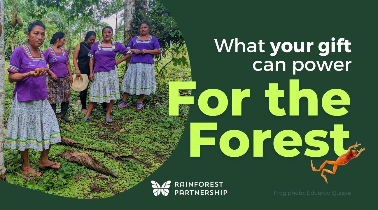 Your Giving Matters: Impact for Rainforests and Communities